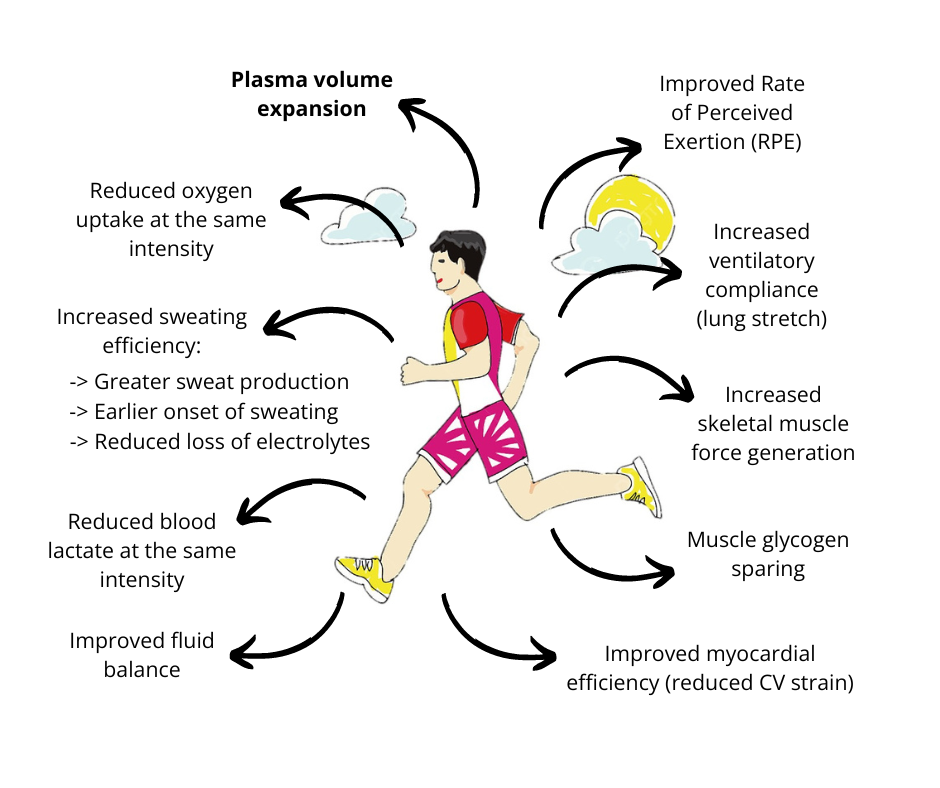 The Increasing Importance and Application of Heat Acclimation ...